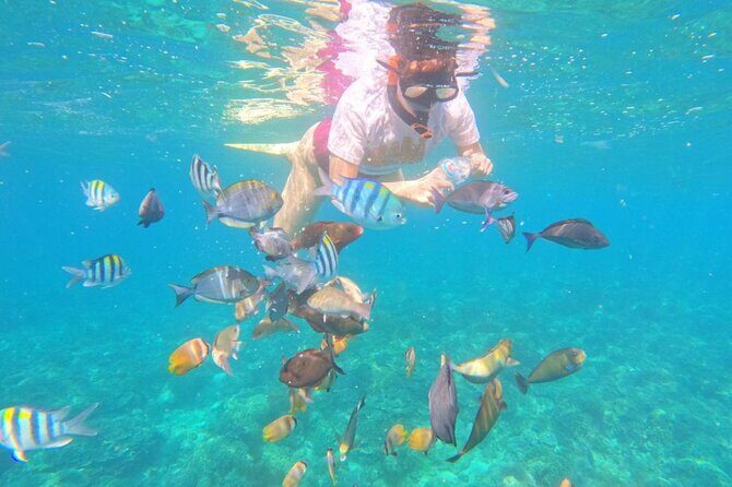Bali Blue Lagoon Snorkeling with Optional Sightseeing - Introduction