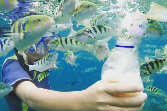 Bali Blue Lagoon Snorkeling with Optional Sightseeing - Key Points