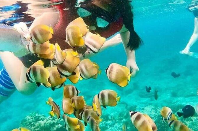 Bali Blue Lagoon Snorkeling with Optional Sightseeing - The Itinerary in Detail