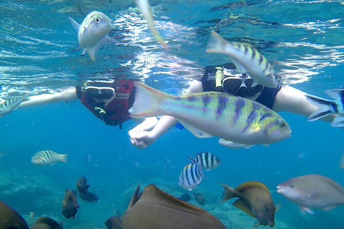 Bali Blue Lagoon Snorkeling with Optional Sightseeing - The Sum Up