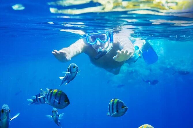 Bali Blue Lagoon Snorkeling with Private Transfer and Lunch - Introduction