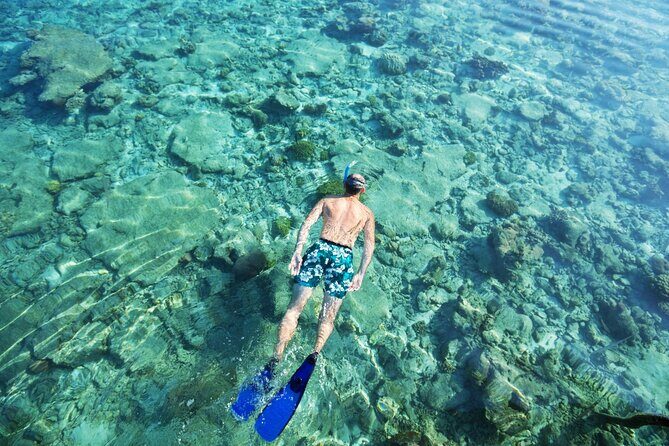 Bali Blue Lagoon Snorkeling with Private Transfer and Lunch - Who Will Love This Tour?