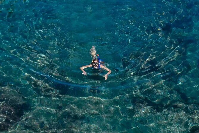 Bali Blue Lagoon Snorkeling with Private Transfer and Lunch - The Sum Up