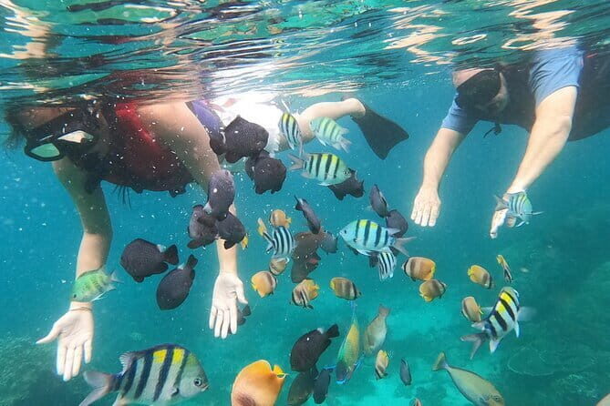 Bali Blue Lagoon Snorkeling with Waterfalls Tour - all included - Frequently Asked Questions