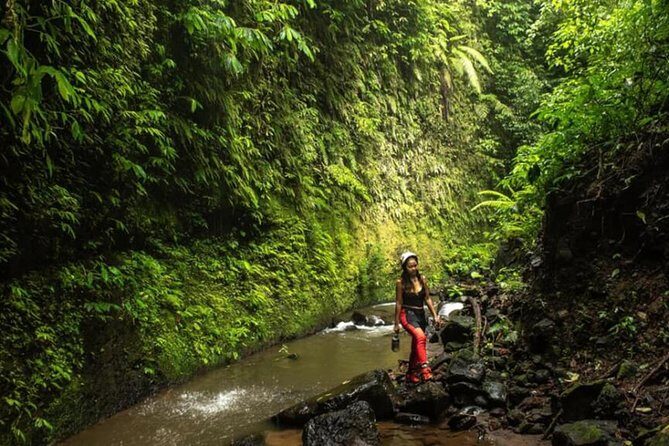 Bali Breathtaking Adventure: Arjuna Gorge Walk - Who Should Consider This Tour?