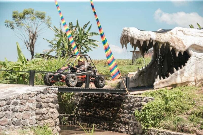 Bali: Buggy Adventure Ride and Waterfall Tour with Lunch - Key Points