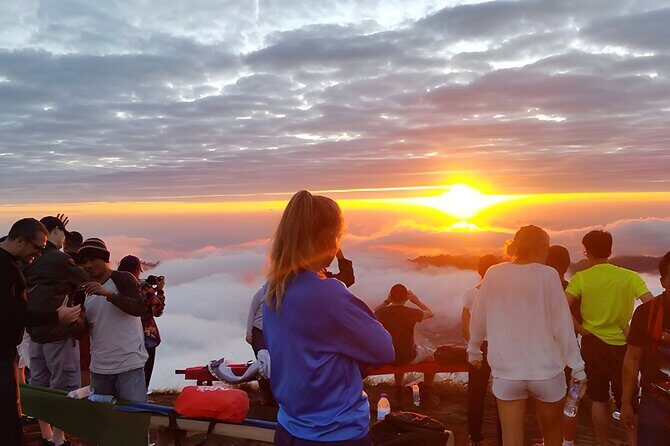 Bali Buggy and Swing Packages - Who Will Love This Tour?