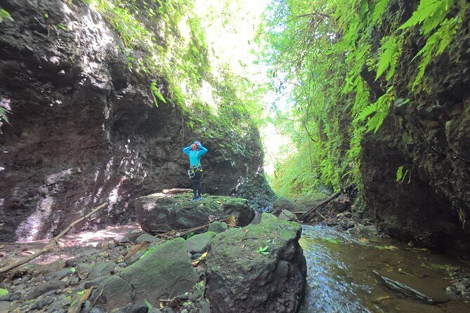 Bali Canyoning Trip  Explore Hidden Waterfalls & Gorges - Exploring the Waterfalls and Gorges