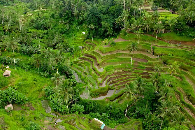 Bali Car-Charter: Half Day Ubud Waterfall Tour - Analytical Perspective on Value