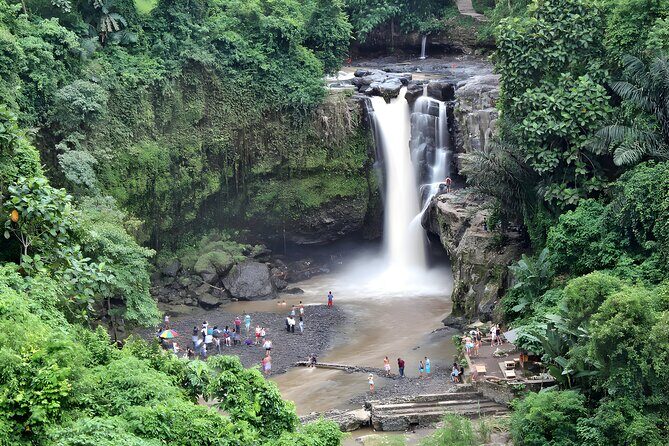 Bali Car-Charter: Half Day Ubud Waterfall Tour - Who Should Consider This Tour?