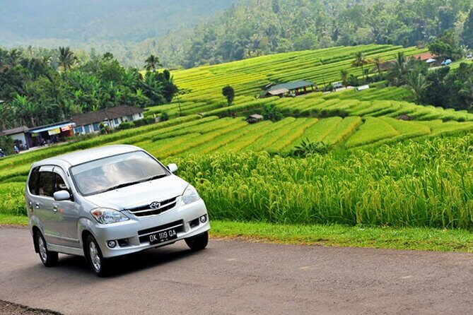 Bali Car Hire with Driver - The Value of This Service