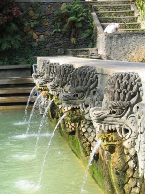 Bali: Celukan Bawang Shore Excursion with Waterfall & Beach - Who Will Love This Tour?