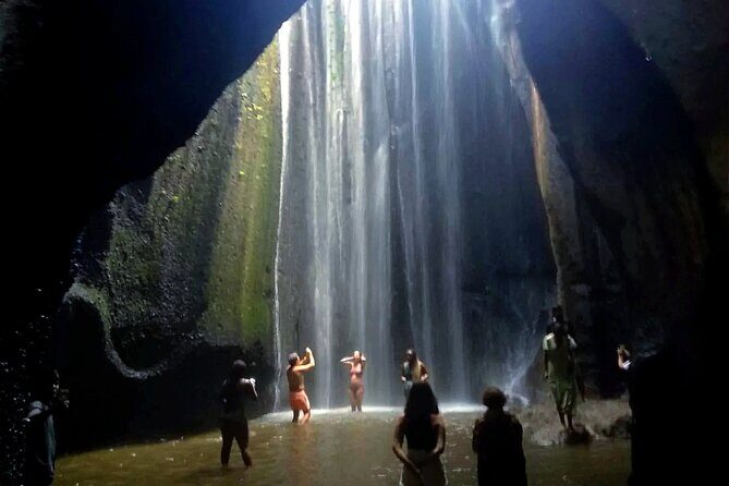 Bali Charter Tour Waterfall, Temple and Rice Fields - Authentic Experiences and Real Traveler Insights