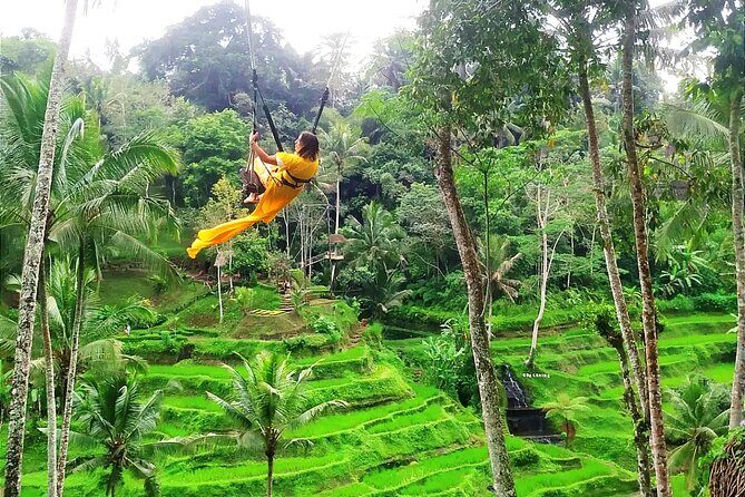 Bali Charter Tour Waterfall, Temple and Rice Fields - Is This Tour Right for You?