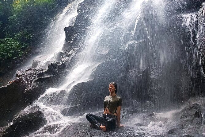 Bali Charter Tour Waterfall, Temple and Rice Fields - Frequently Asked Questions