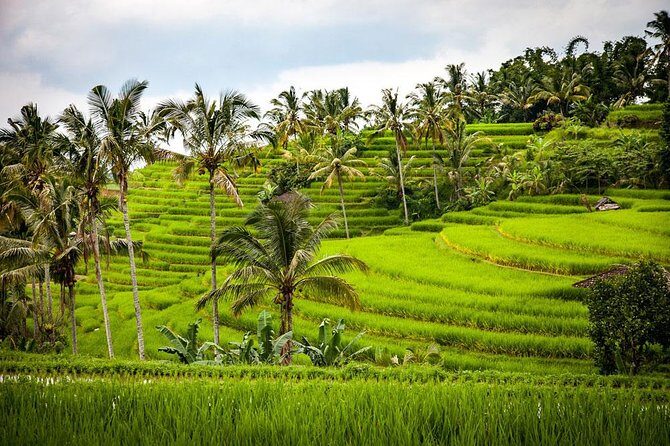 Bali Cheap Tour Packages 3 Days - FAQ