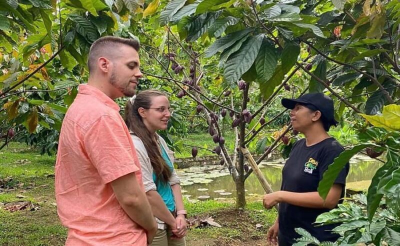 Bali: Chocolate Tour with Rice Terraces and Temple Visit - A Tasty Introduction to Bali’s Cultural and Natural Treasures