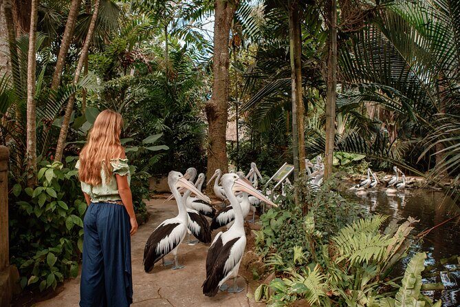 Bali City Pass Classic Attractions Sunrise Trek and More - Key Points