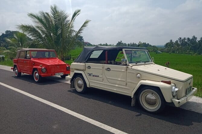 Bali Classic Volkswagen Safari and Kintamani Volcano Private Tour - Exploring the Charm of Vintage VW Safari Travel