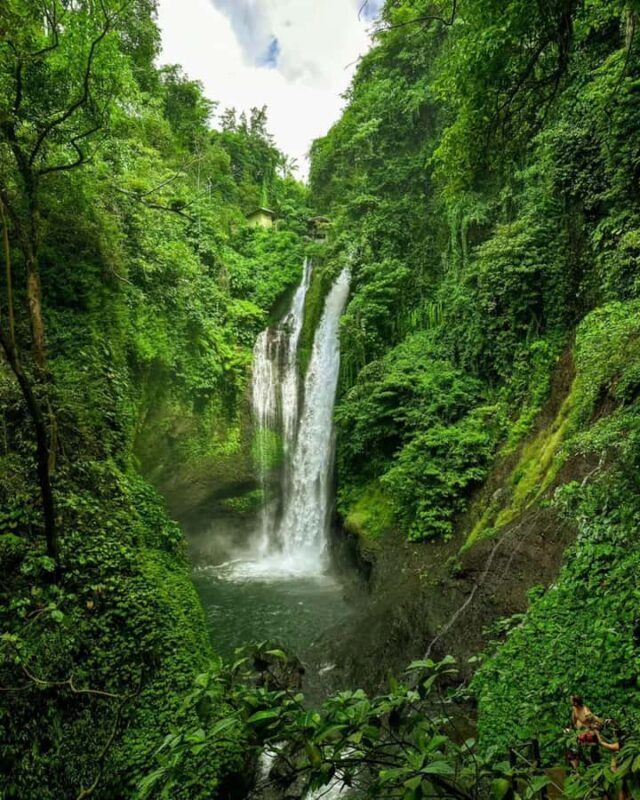 Bali: Cliff Jumping Gitgit Waterfalls & Rice Terrace Tour - Cost and Value