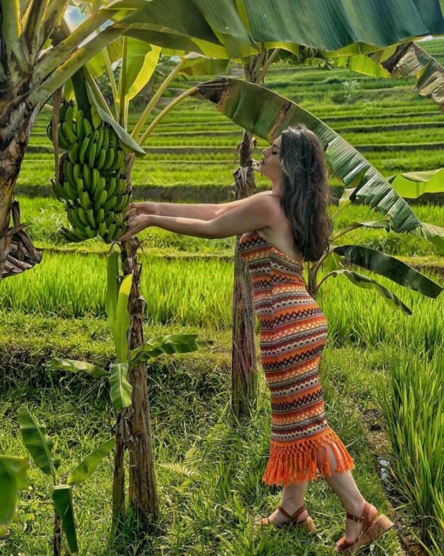 Bali: Cliff Jumping Gitgit Waterfalls & Rice Terrace Tour - Who Should Consider Other Options?