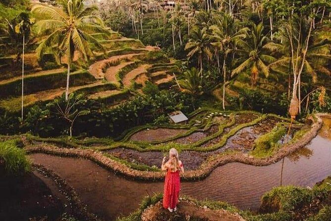 Bali Costumized Private Full-Day Tour - A Detailed Look at What You’ll Experience