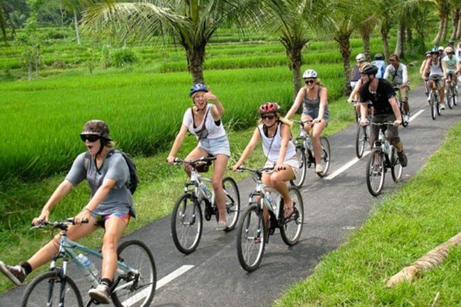 Bali Countryside Cycling Tour by Halo Bike Tour - A Detailed Look at the Bali Countryside Cycling Tour