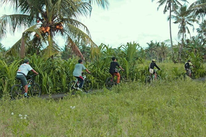 Bali Countryside Eco Cycling Tour include Lunch - A Taste of Bali’s Nature and Culture