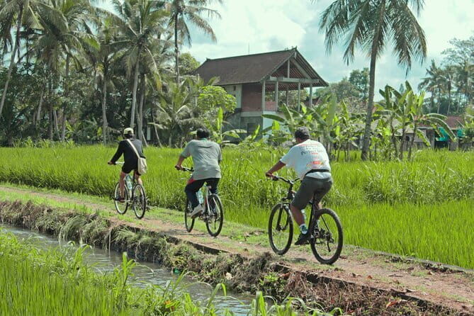 Bali Countryside Eco Cycling Tour include Lunch - The Itinerary: What Awaits You