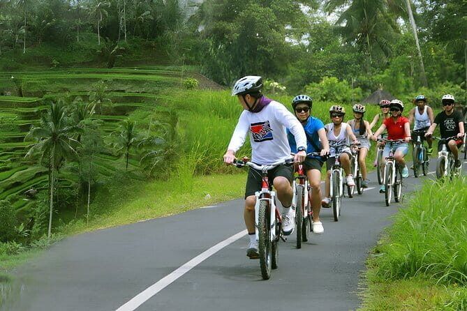 Bali Countryside Eco Cycling Tour include Lunch - The Sum Up