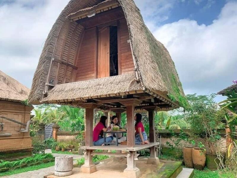 Bali: Countryside, Temple, Ricefield, Volcano with Lunch - A Closer Look at the Tour Itself
