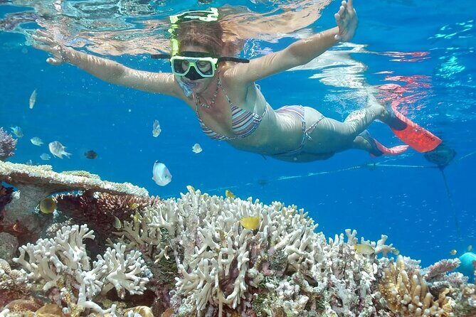 Bali Cruise Shore Excursion  Highlights Tour from Benoa Port - What to Expect from Your Bali Shore Excursion