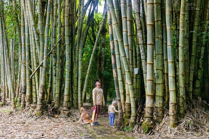 Bali Cultural Heritage Bamboo Forest Tour (Private All Inclusive) - Who Will Love This Tour?