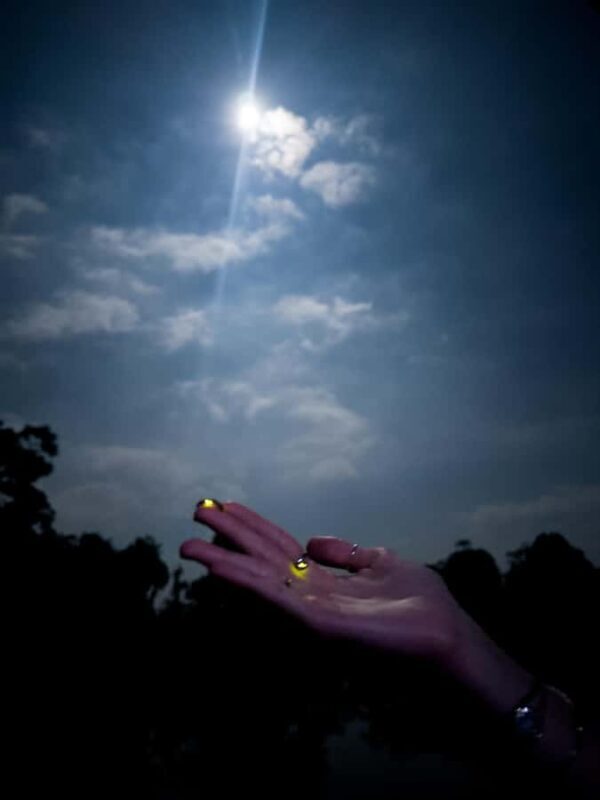 Bali: Cultural Ritual, Local Cuisine & Firefly Adventure - Practical Details and Value