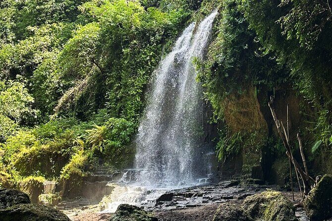 Bali Culture and Hidden waterfall Tour - Key Points