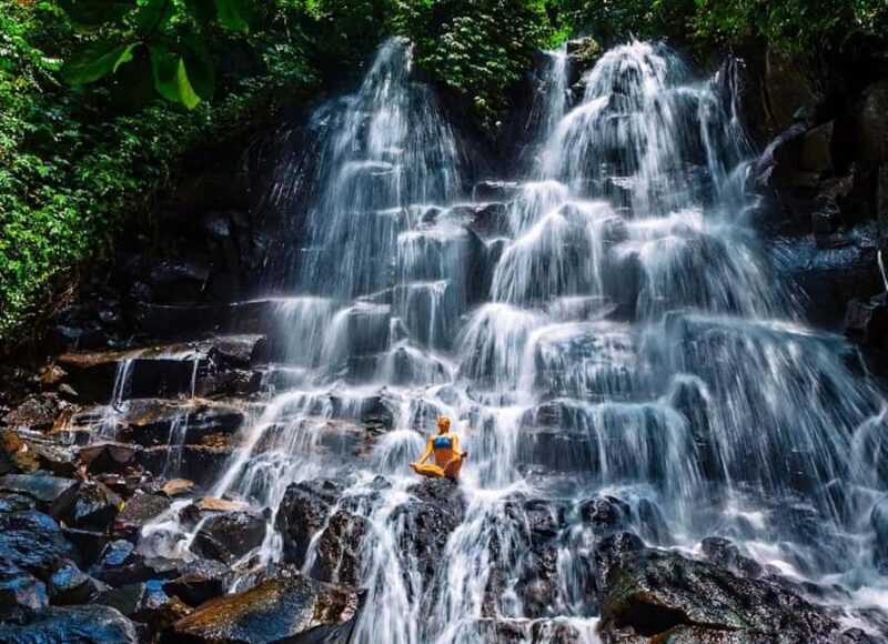 Bali: Culture Heritage Village & Holy Spring PrivateDay Tour - Practical Details and What to Expect