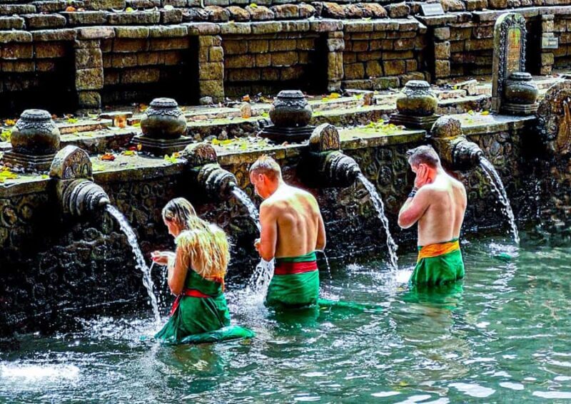 Bali: Culture Heritage Village & Holy Spring PrivateDay Tour - Summary: The Value of a Balanced, Authentic Bali Day