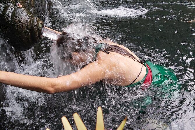 Bali Culture Tour - Water Blessing Experienced - All Inclusive - Savoring Local Flavors and Art
