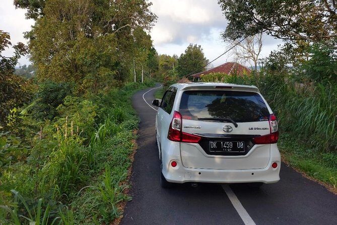 Bali Custom Car Charter - Authentic, Budget-Conscious, and Perfect for Customization