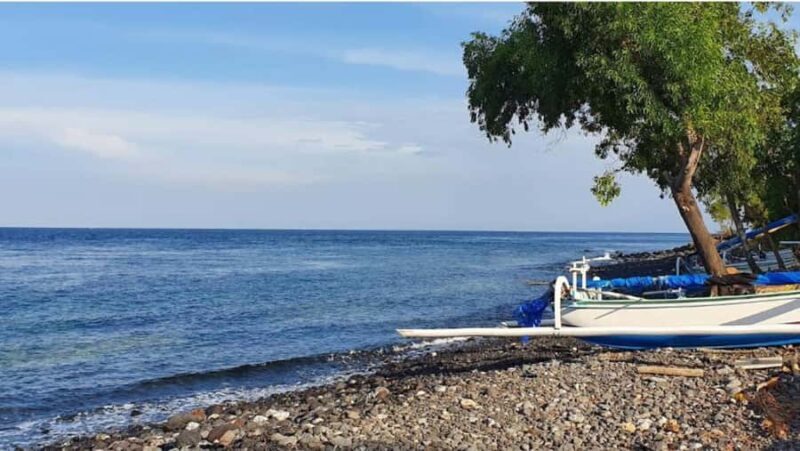 Bali: Customised East Bali Tour with Transfer Hotel - Key Points