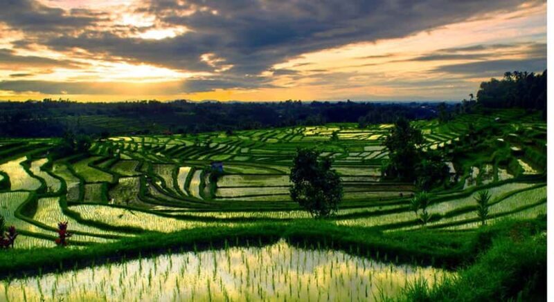 Bali: Customised North Bali Tour With Hotel Transfer - Key Points