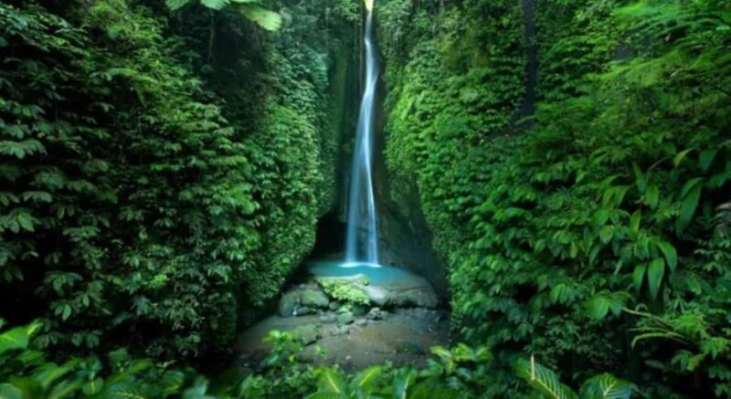 Bali: Customised North Bali Tour With Hotel Transfer - A Closer Look at the North Bali Tour Experience