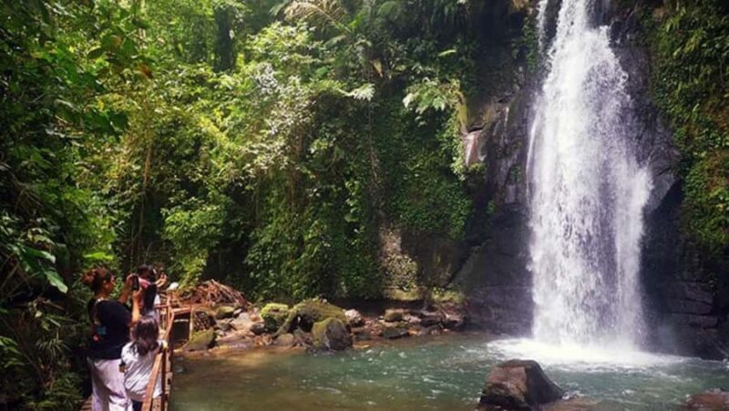 Bali: Customised Ubud Full Day Trip With Private Car, Driver - The Sum Up