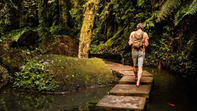 Bali: Customised Ubud Full Day Trip With Private Car, Driver - FAQ