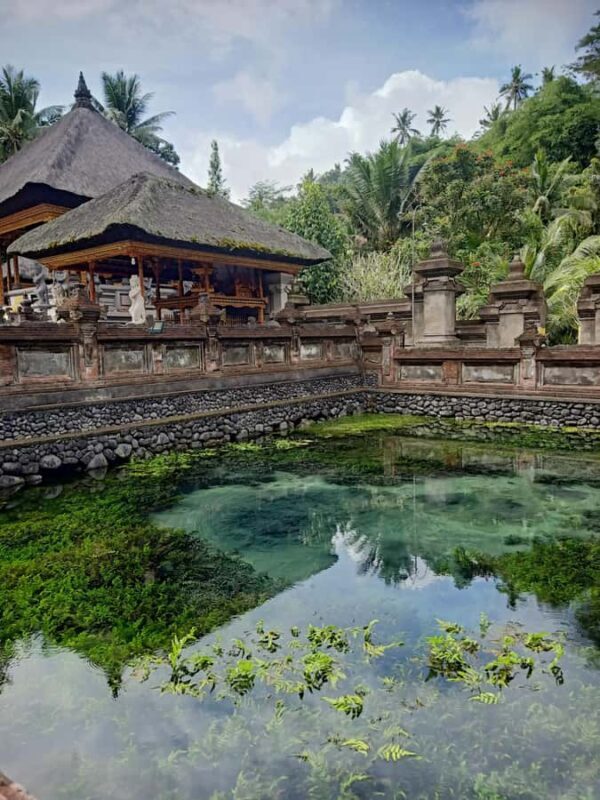 Bali: Customize Private Day Tour with Driver-Guide - An Introduction to Bali’s Best with a Private Guide