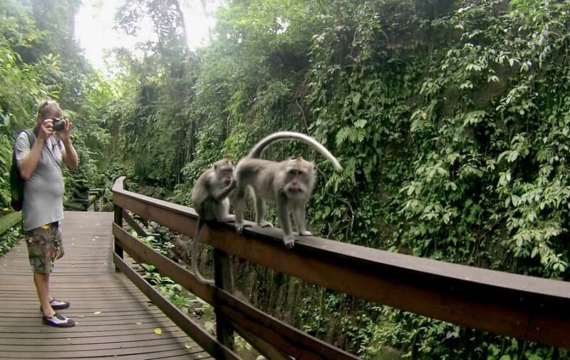 Bali: Customize Your Own Private Guided Tour in Bali - Key Points