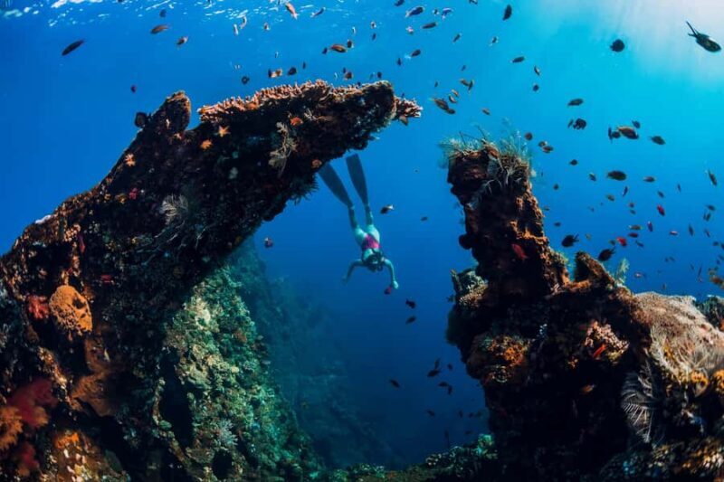 Bali: Customize Your Own Private Guided Tour in Bali - A Deep Dive into the Bali Private Tour