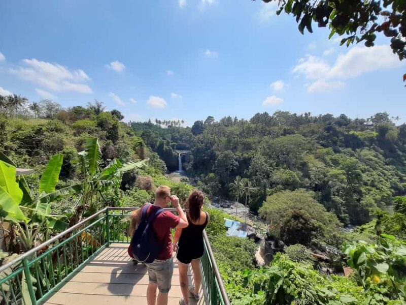 Bali: Customized Private Tour - Real Traveler Insights