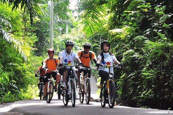 Bali Cycling and Ayung Rafting Packages - A Deeper Look at Bali Cycling and Ayung Rafting