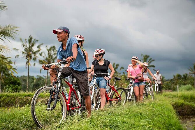 Bali Cycling and Ayung River Rafting Packages - Experience the Balance of Nature and Adventure with Bali Cycling and Ayung River Rafting